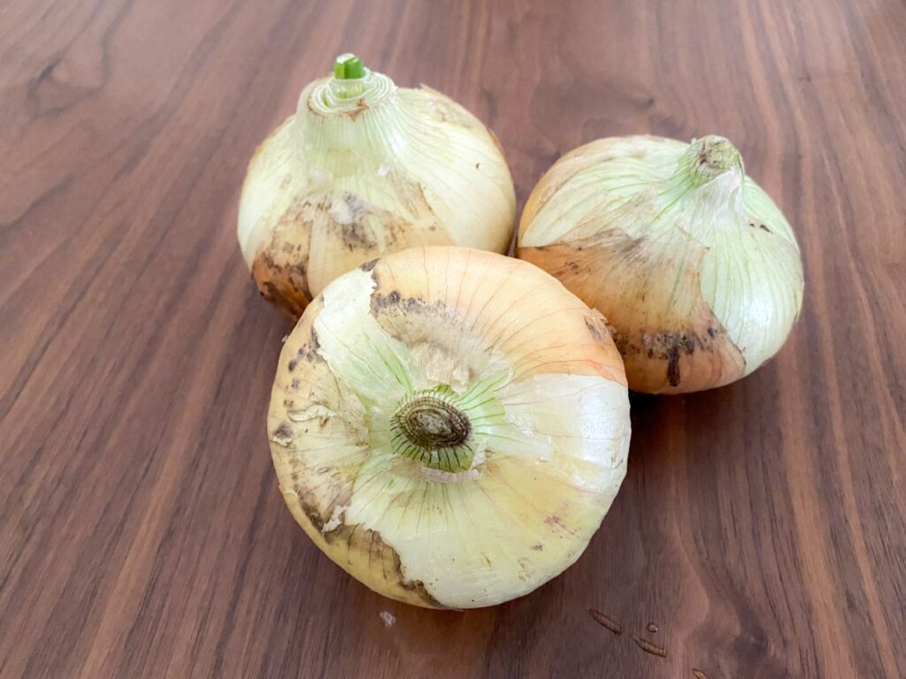 「新玉ねぎ」と一緒に摂ると“腸内環境が整いやすくなる意外な食材”とは【健康的なレシピ】 | ぱるとよ 食材ブログ