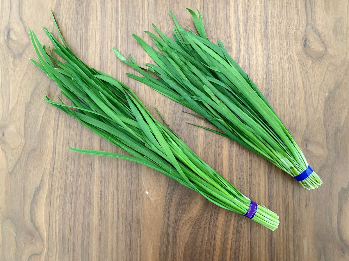 「早く知りたかった」ニラが”濃い緑色”or”薄い黄色”どっちが新鮮？【知って得する買物術】 | ぱるとよ 食材ブログ
